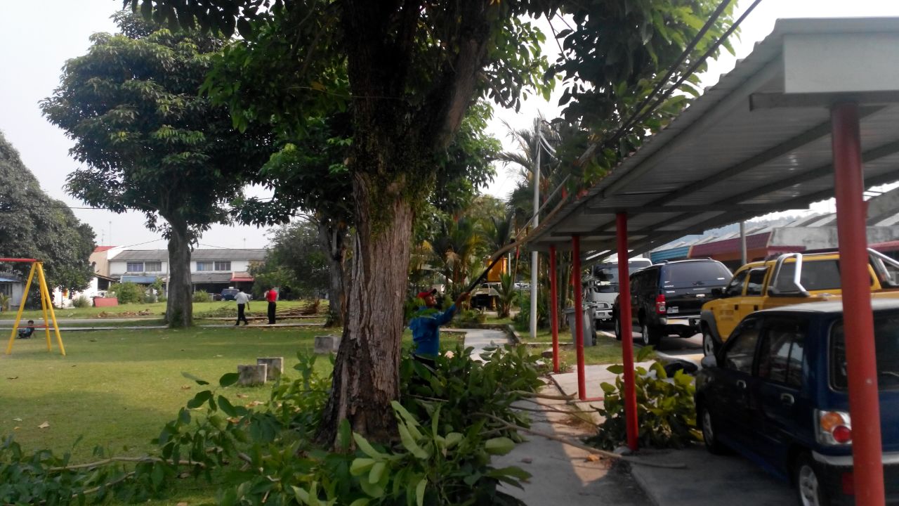 Taman Teratai | Portal Rasmi Majlis Perbandaran Pontian (MPPn)