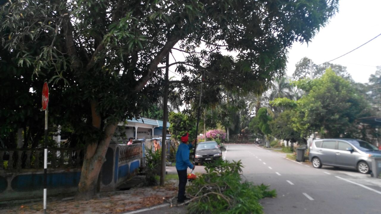 Taman Teratai | Portal Rasmi Majlis Perbandaran Pontian (MPPn)