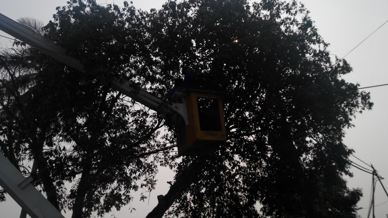 Taman Teratai | Portal Rasmi Majlis Perbandaran Pontian (MPPn)