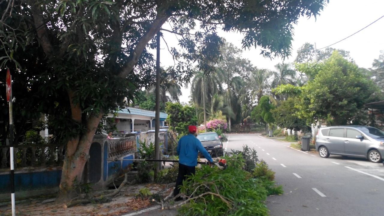 Taman Teratai | Portal Rasmi Majlis Perbandaran Pontian (MPPn)