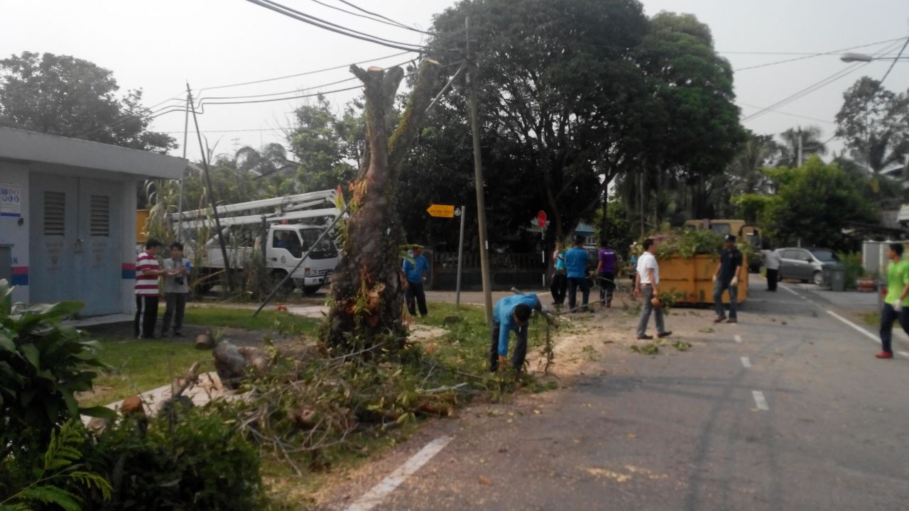 Taman Teratai | Portal Rasmi Majlis Perbandaran Pontian (MPPn)