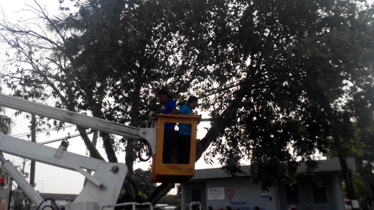 Taman Teratai | Portal Rasmi Majlis Perbandaran Pontian (MPPn)