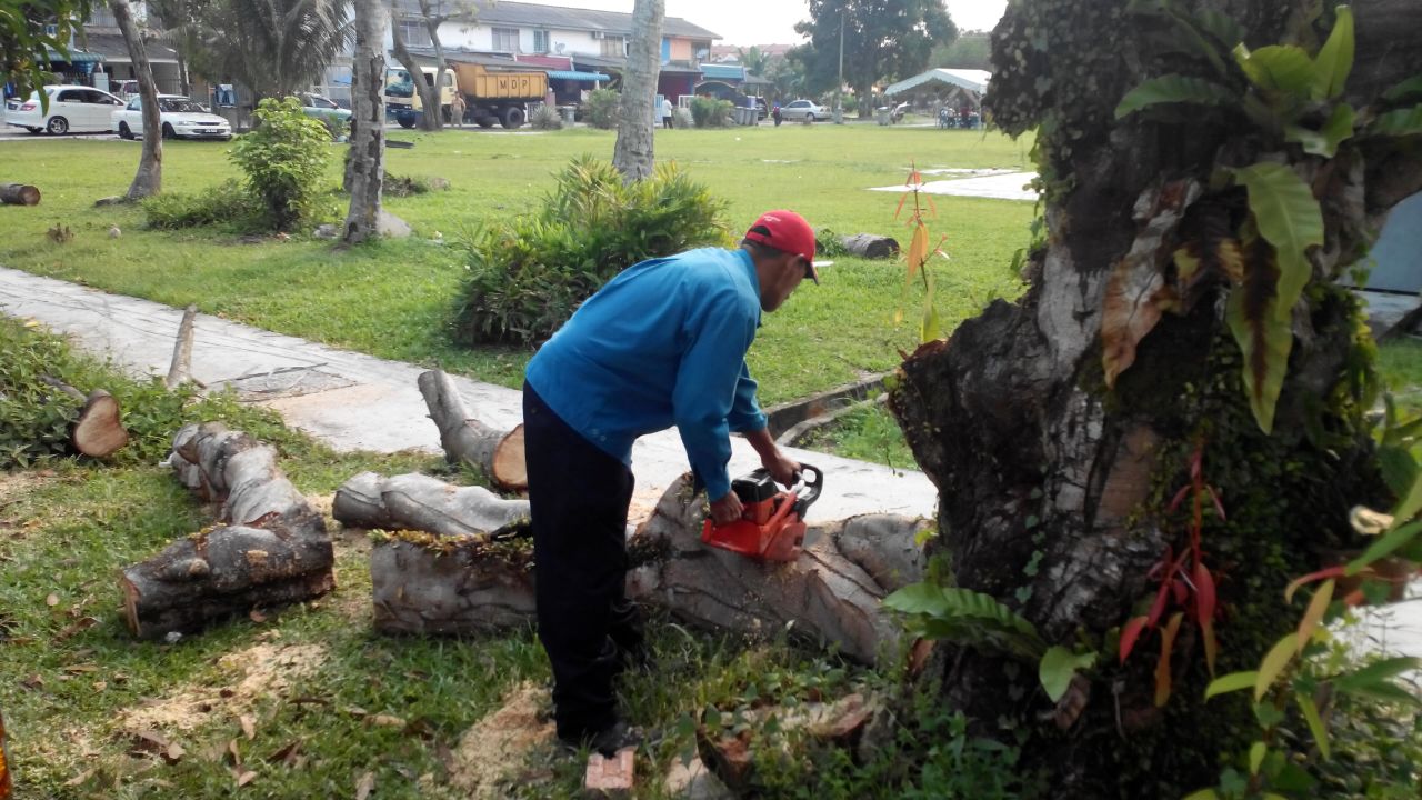 Taman Teratai | Portal Rasmi Majlis Perbandaran Pontian (MPPn)