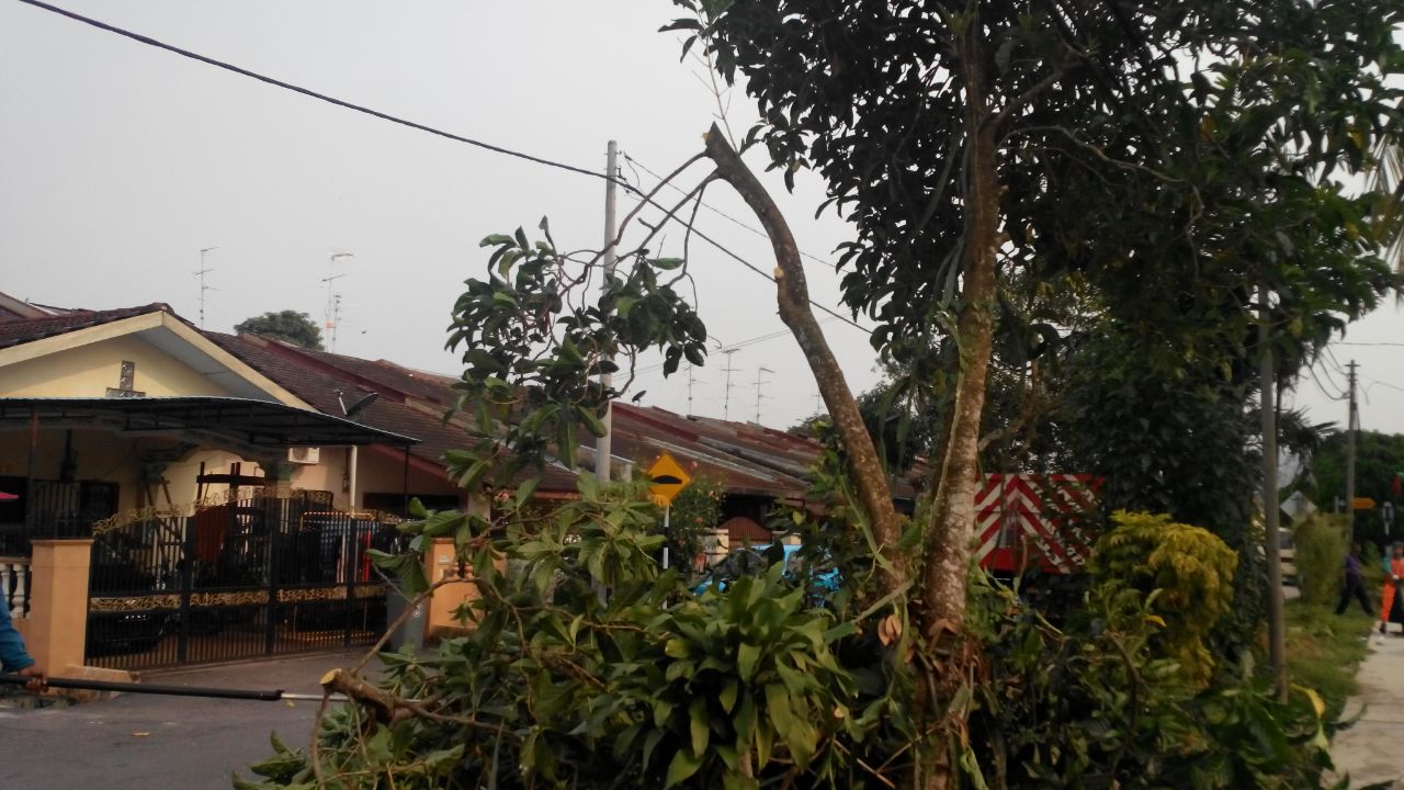 Taman Teratai | Portal Rasmi Majlis Perbandaran Pontian (MPPn)