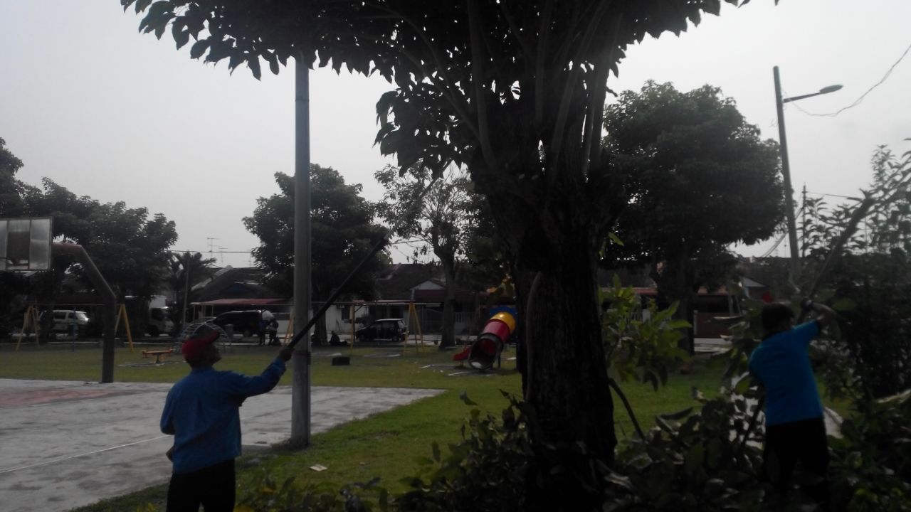 Taman Teratai | Portal Rasmi Majlis Perbandaran Pontian (MPPn)