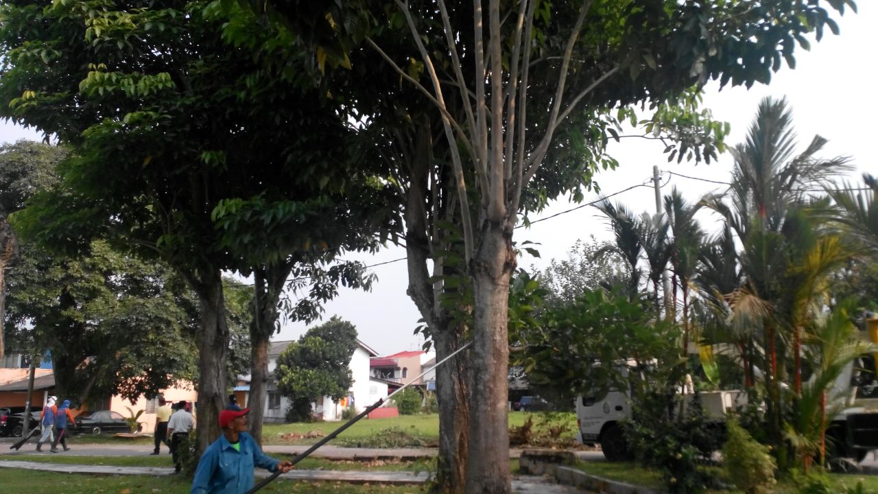 Taman Teratai | Portal Rasmi Majlis Perbandaran Pontian (MPPn)