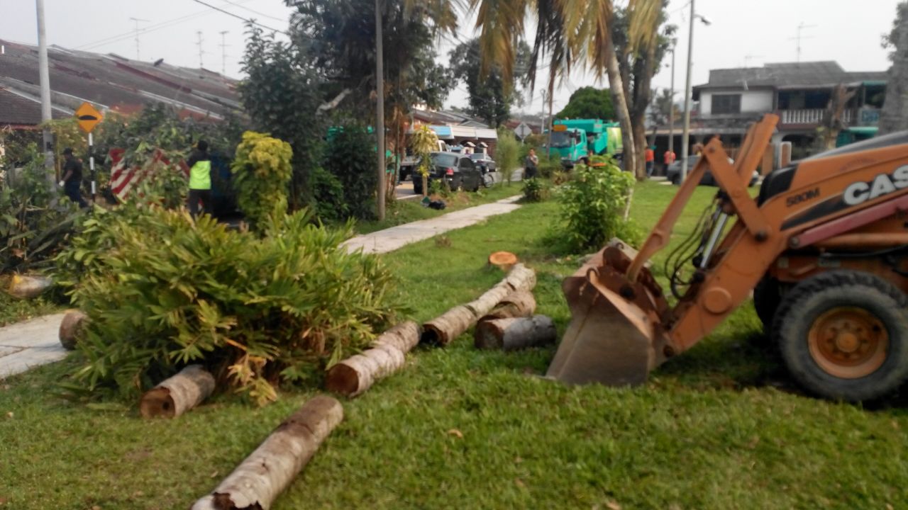 Taman Teratai | Portal Rasmi Majlis Perbandaran Pontian (MPPn)