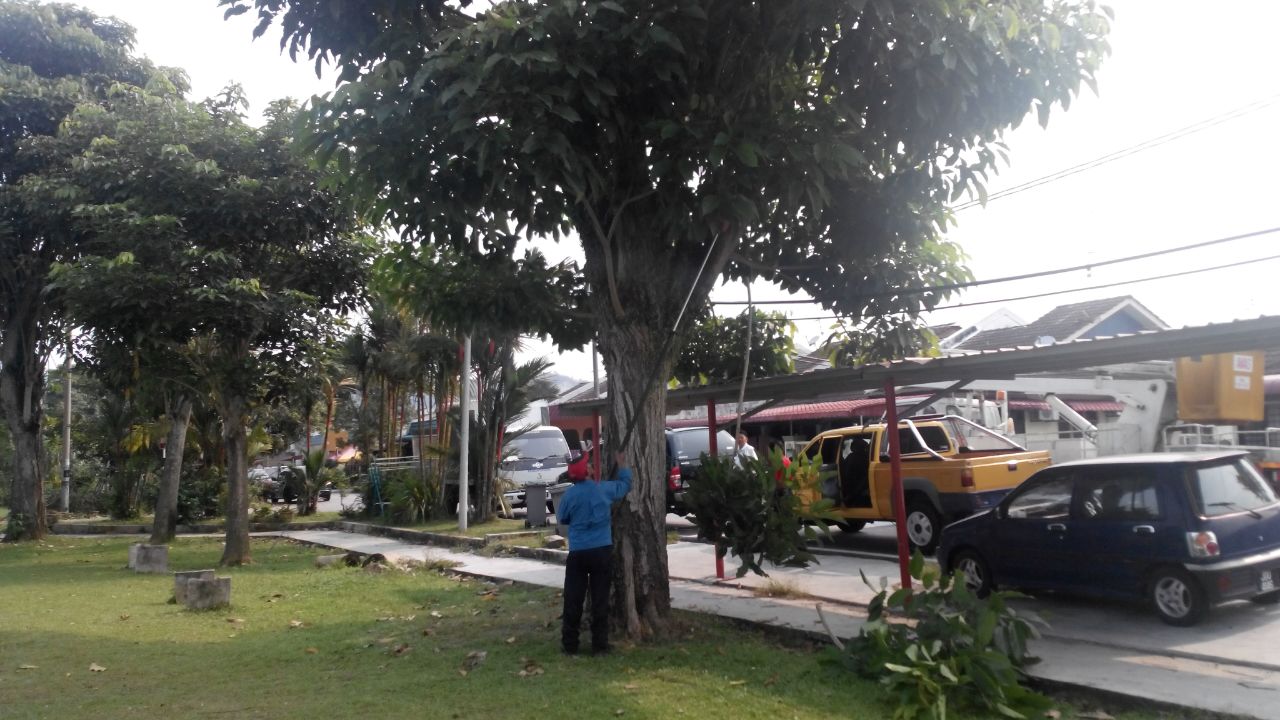 Taman Teratai | Portal Rasmi Majlis Perbandaran Pontian (MPPn)